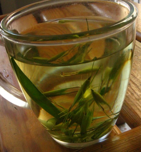 Recipe: Reap Your Wild Oats To Make Nourishing Oatstraw Tea - Green Prophet