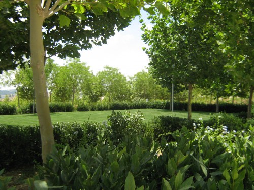 Green Prophet at Interfaith Gathering in Amman - and a Green Oasis ...