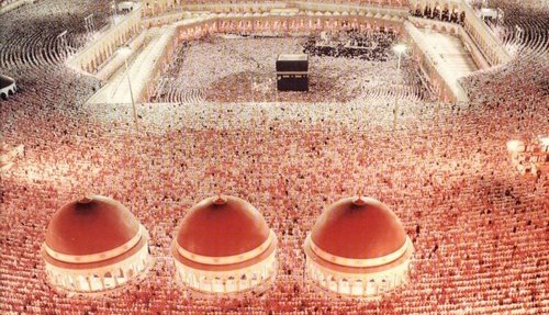 The Qu’ran on the Environment - Green Prophet