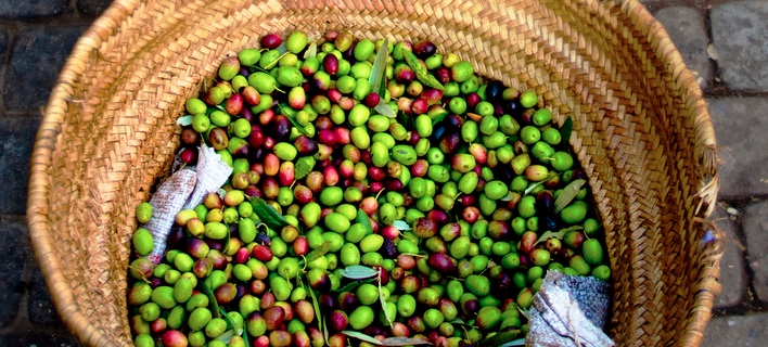 Make home-pickled olives - Green Prophet