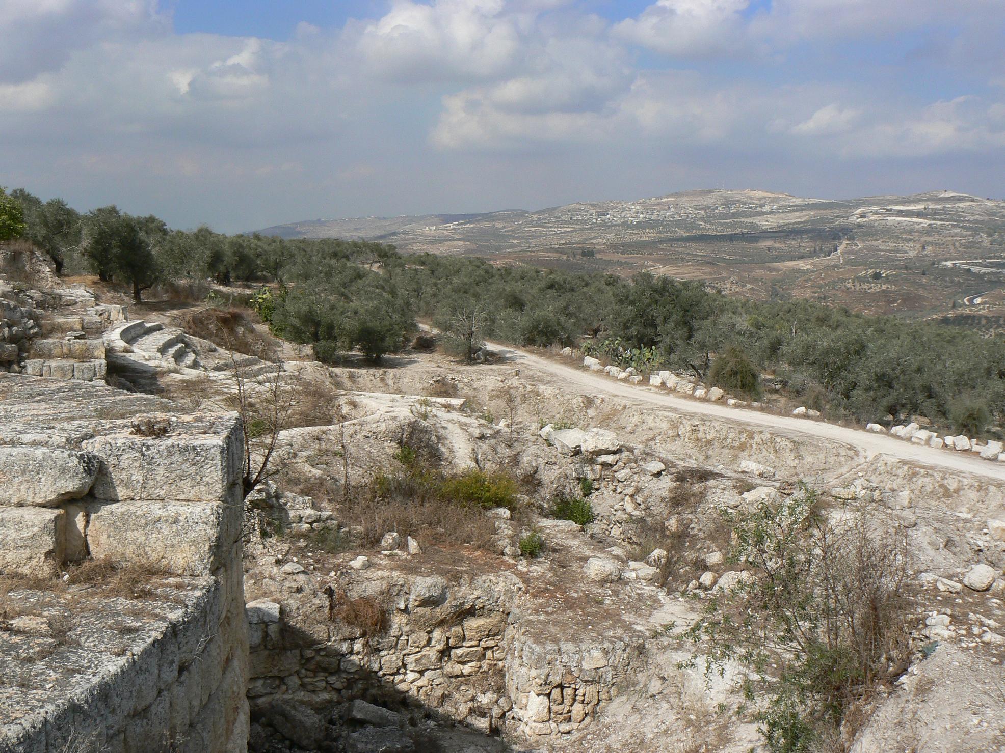 Why One Should Linger in Sebastia, Near Nablus - Green Prophet