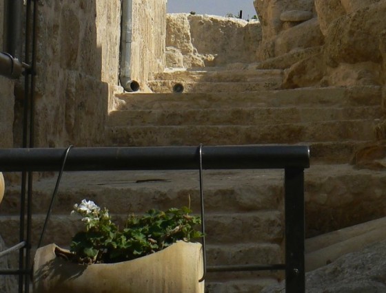 Why One Should Linger in Sebastia, Near Nablus - Green Prophet