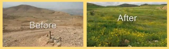 New Eco-Park Opens In Jordan - Green Prophet