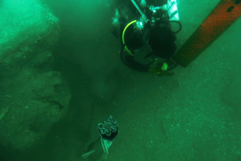 New Life Found In Dead Sea! (Amazing Photos) - Green Prophet