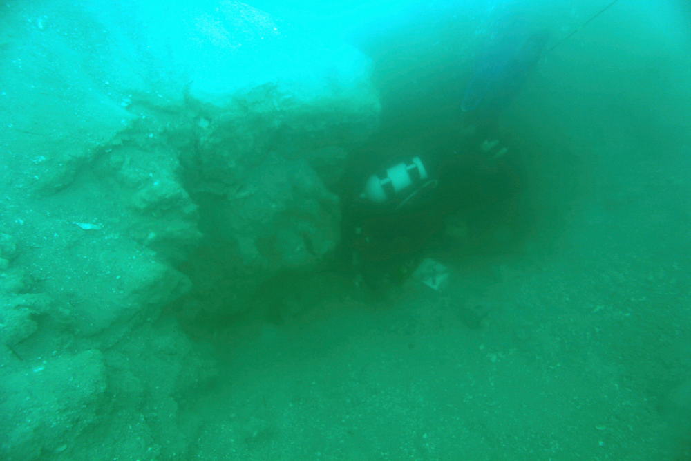 New Life Found In Dead Sea! (Amazing Photos) - Green Prophet