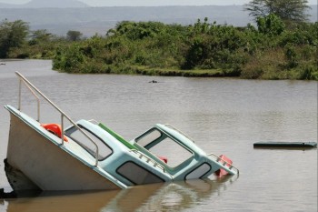 Jessica the Hippo Doesn't Know She is Africa's Most Dangerous Animal ...
