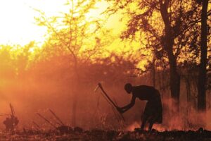 African Land Grab Continues – Middle East Is Major Buyer - Green Prophet