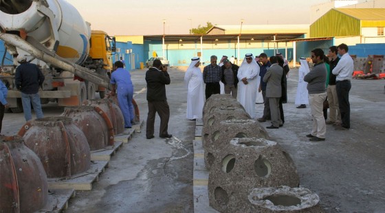 Bahrain's Artifical Reef a Success After 16 Weeks - Green Prophet