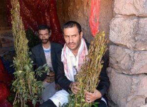 Khat Addiction Threatens Yemen's Future - Green Prophet