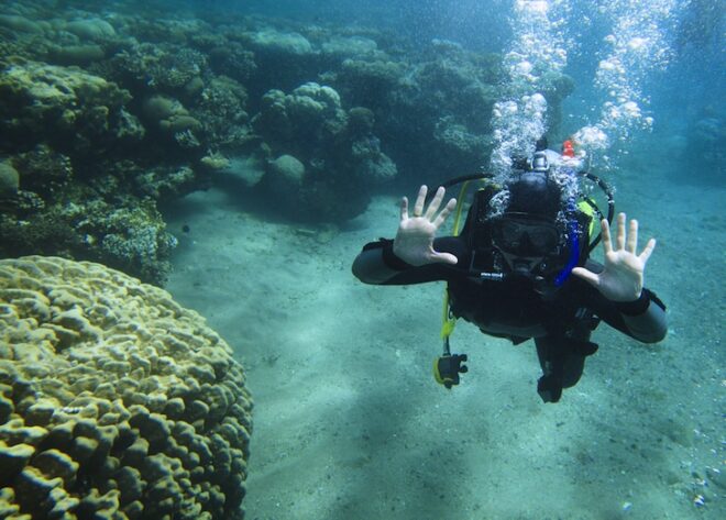Egypt's First Female Dive Master Speaks Out - Green Prophet