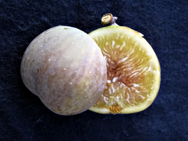 Know your fig varieties from Syria, Lebanon and Iran - Green Prophet