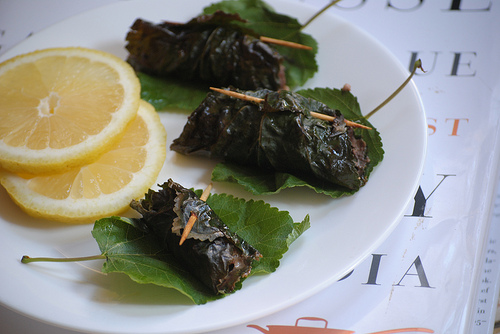 Stuffed Mulberry Leaves With Chicken Recipe - Green Prophet