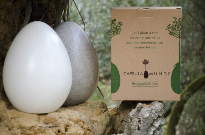 Capsula Mundi burial pods grow live trees from dead people | Green Prophet