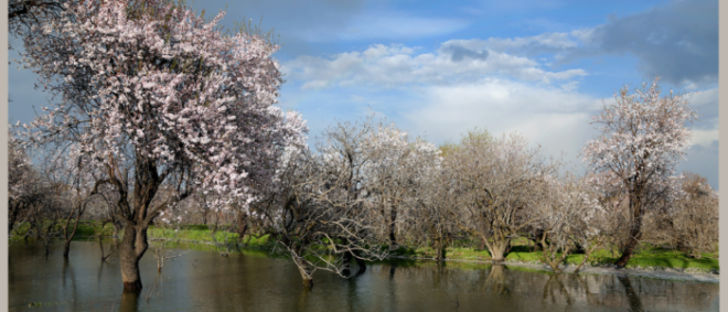 From all-women fisheries in Korea and walnut cultivators in Iran: meet ...