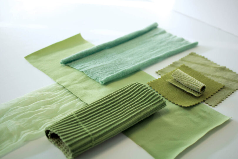 The Textile Industry’s Dirty Secret: How Algaeing is Revolutionizing ...