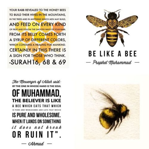 Bees for Peace in Israel uses biodynamic beekeeping to sweeten hearts ...