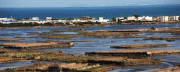 Tunisia’s lagoon farms and hanging gardens recognized as world heritage ...