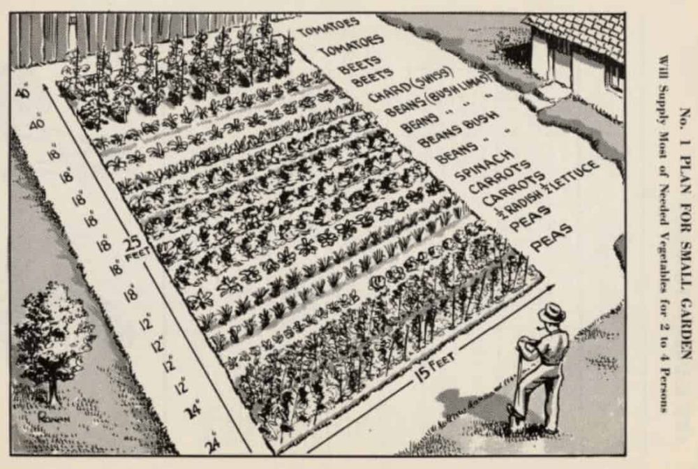 Download the Victory Garden Handbook, circa 1943 - Green Prophet