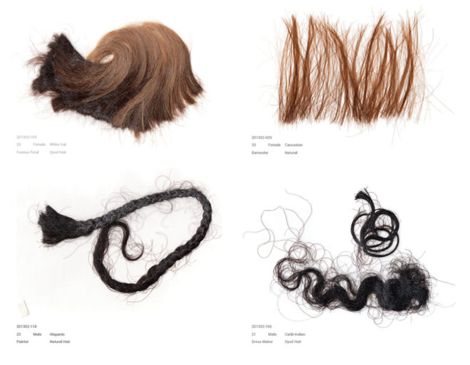 Adrian Pepe's Lebanese culture, craft and identity through local sheep ...