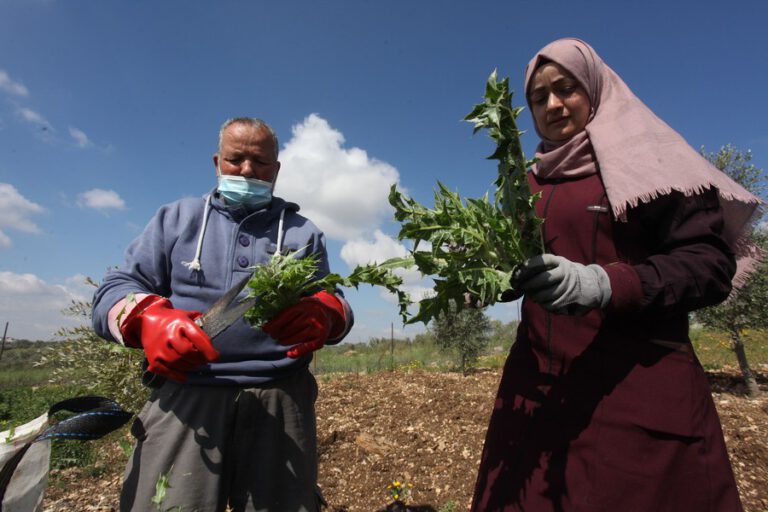 What's in season May - Green Prophet