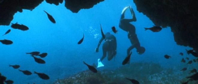 From all-women fisheries in Korea and walnut cultivators in Iran: meet ...