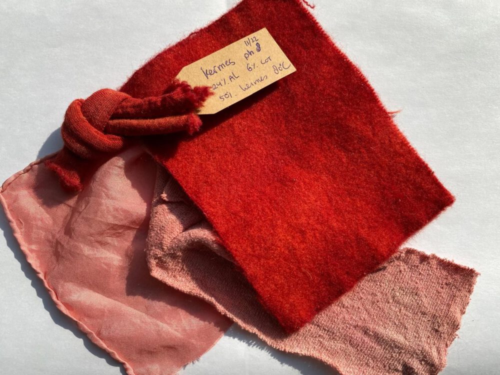 Biblical red dye found in a cave in Israel - Green Prophet