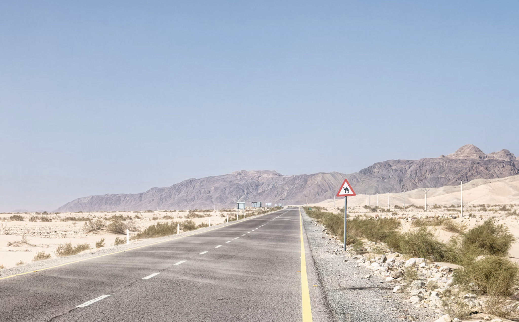 Clearing the Arava Dunes to Make Way for Concrete - Green Prophet