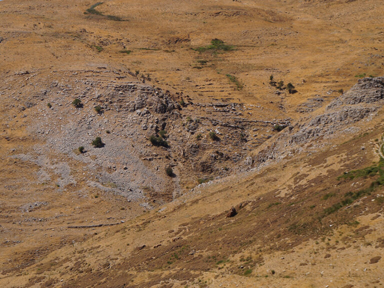 Adrian Pepe's Lebanese culture, craft and identity through local sheep ...