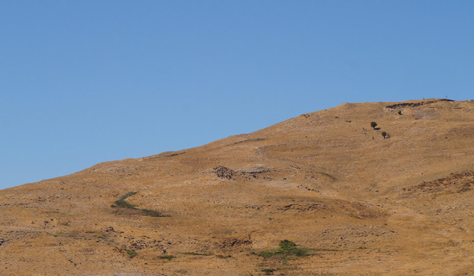 Adrian Pepe's Lebanese culture, craft and identity through local sheep ...