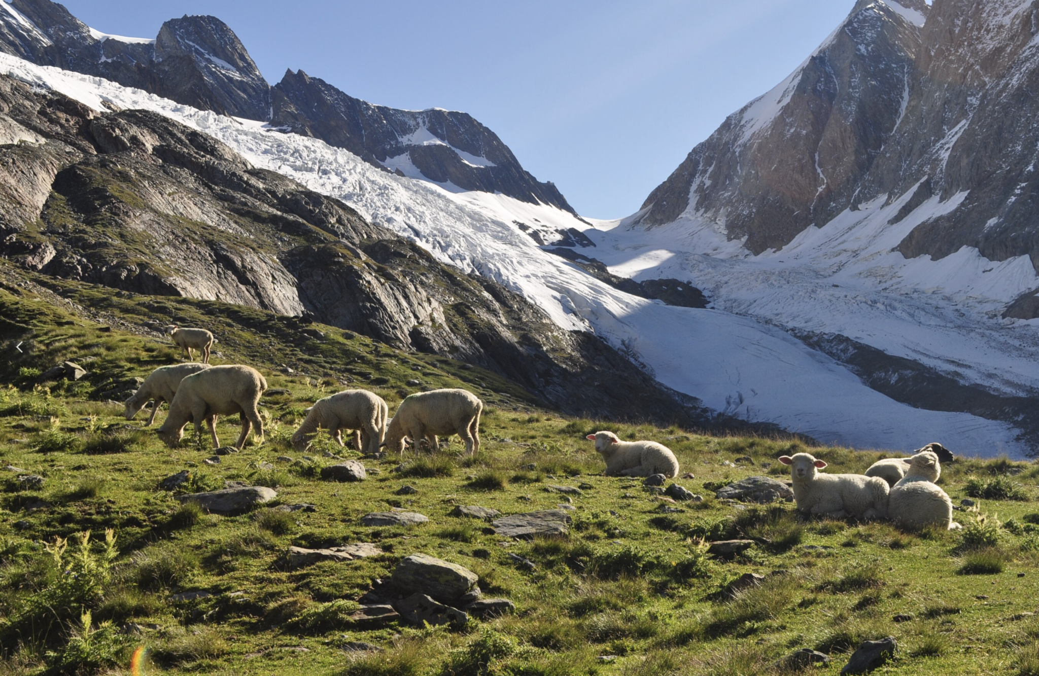 Swiss village Blatten is flattened by freak glacial melt - Green Prophet