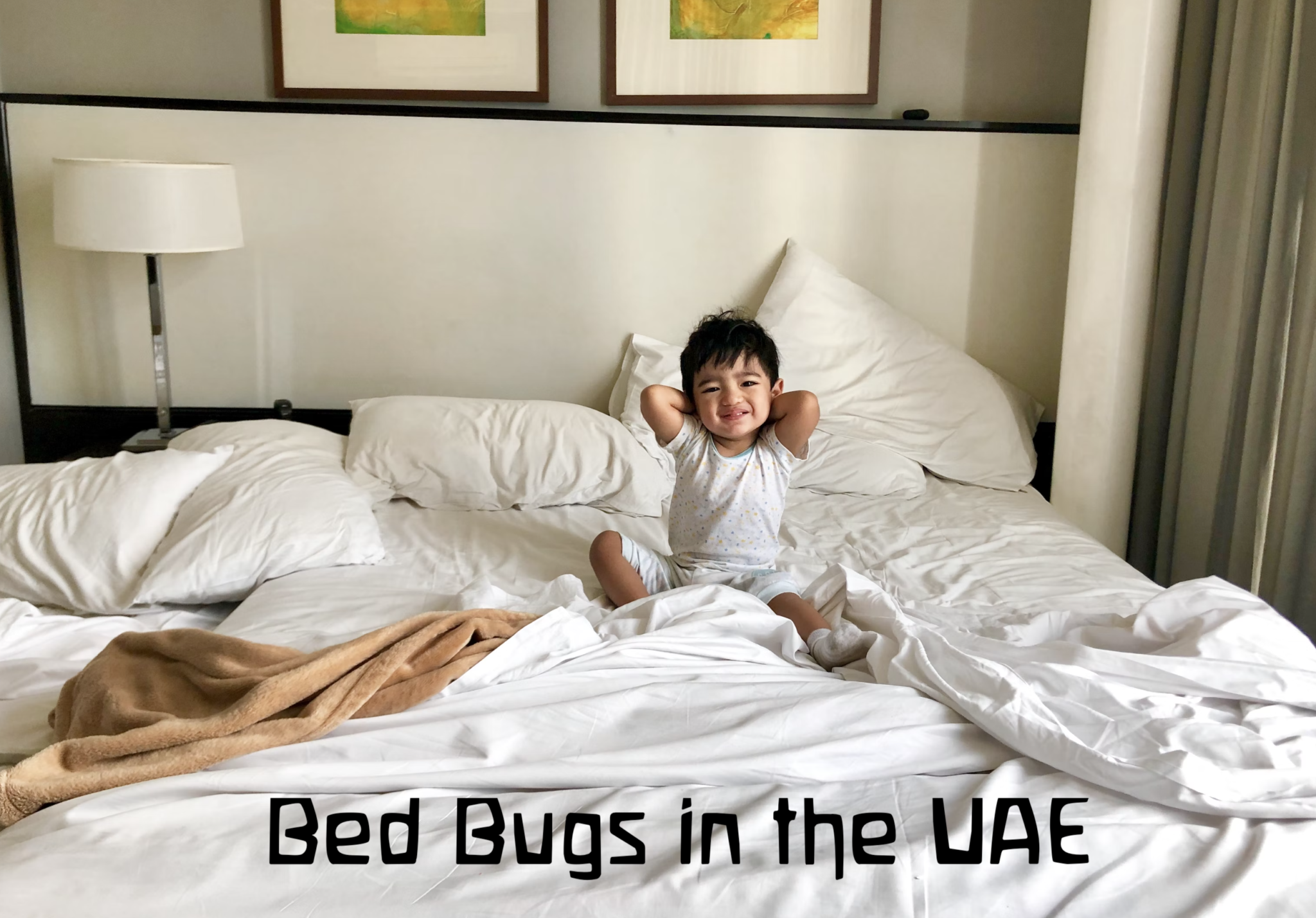 Bed bugs in the UAE - Green Prophet