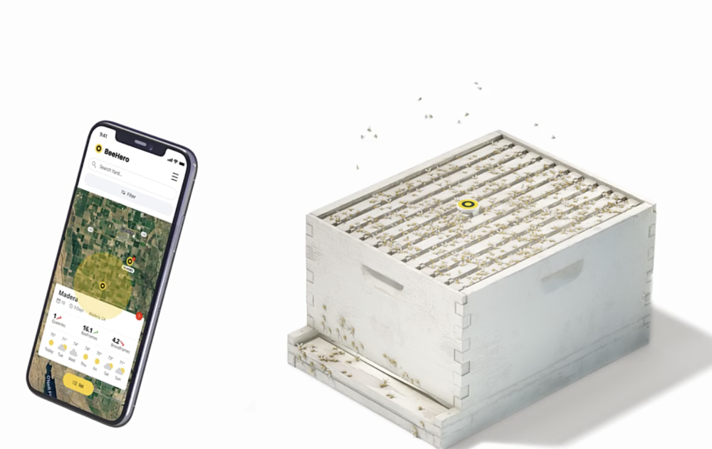 Israel's BeeHero a top 100 cleantech company - Green Prophet