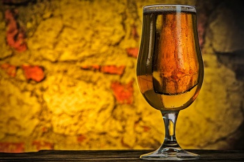 Dandelion Beer, A Seasonal Homebrew RECIPE - Green Prophet
