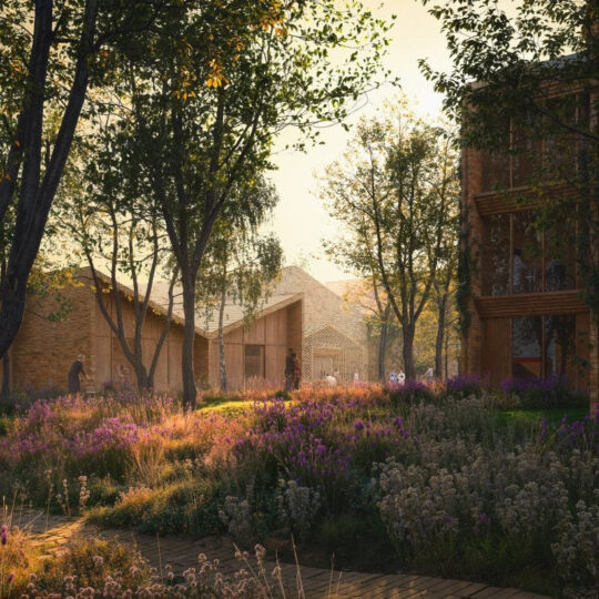 BIG Palliative Care: Denmark's Nature and Spirituality in Dignified End ...