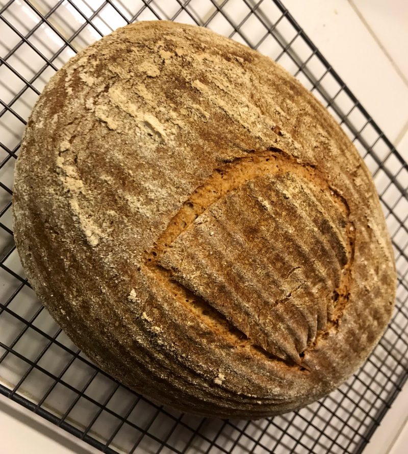 Bread Baked With 5000-Year-Old Egyptian Yeast - Green Prophet