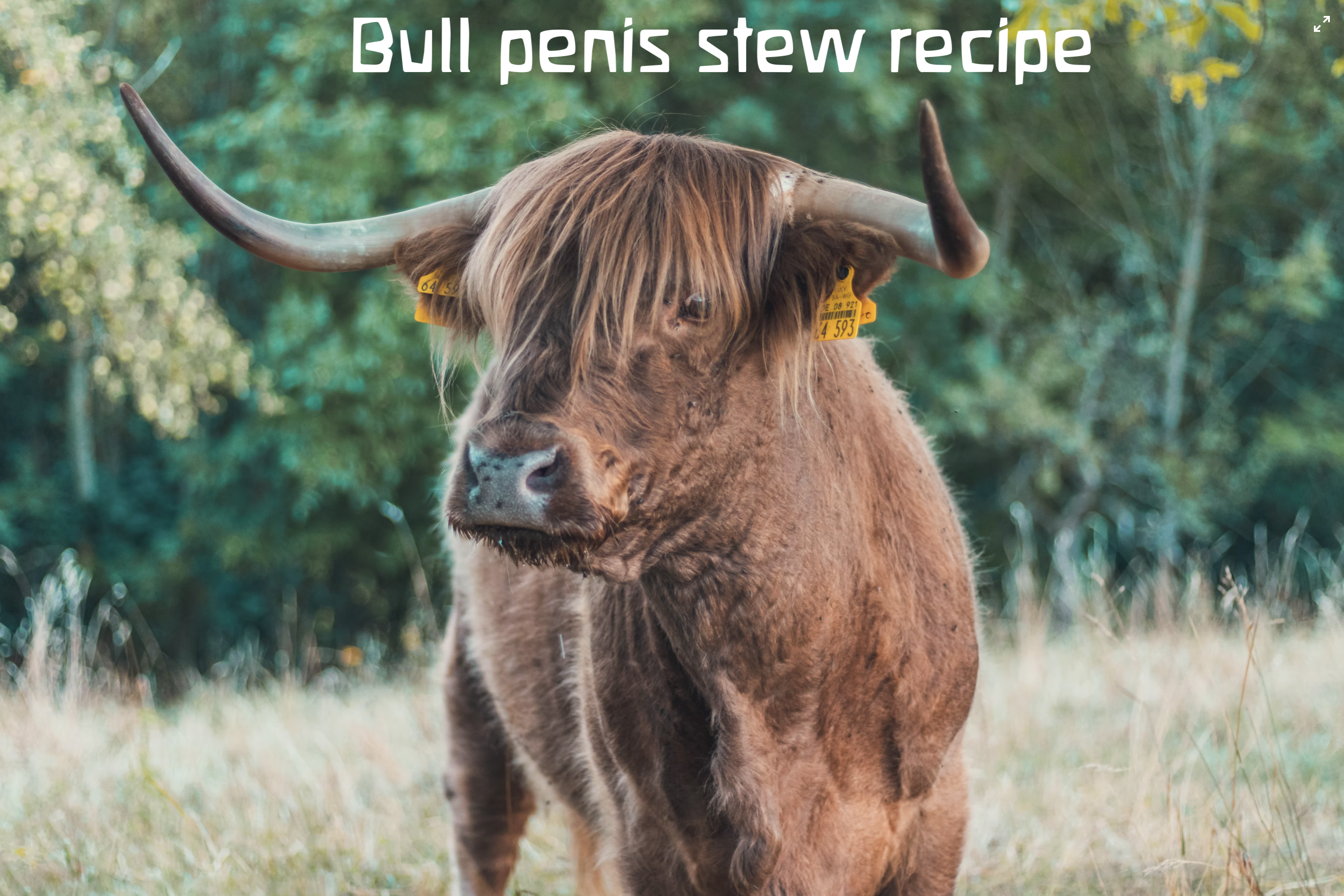 Bull penis stew recipe - Green Prophet