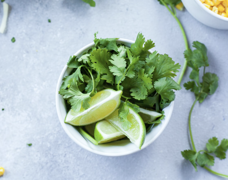 Cilantro can clean water - Green Prophet