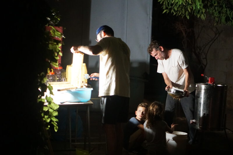 Bees for Peace in Israel uses biodynamic beekeeping to sweeten hearts ...