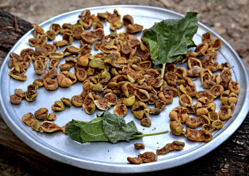 Know your fig varieties from Syria, Lebanon and Iran - Green Prophet