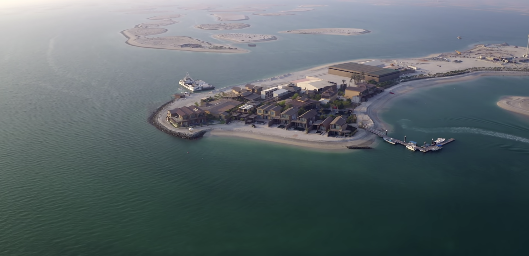 Dubai's artificial World Islands killing corals pushing nature out of ...