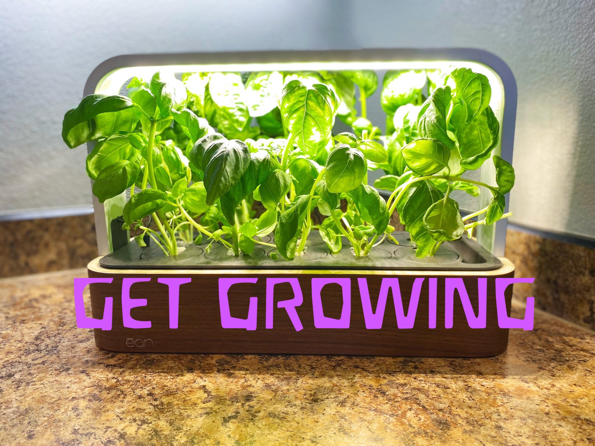 Marine drone cleans plastic - Green Prophet