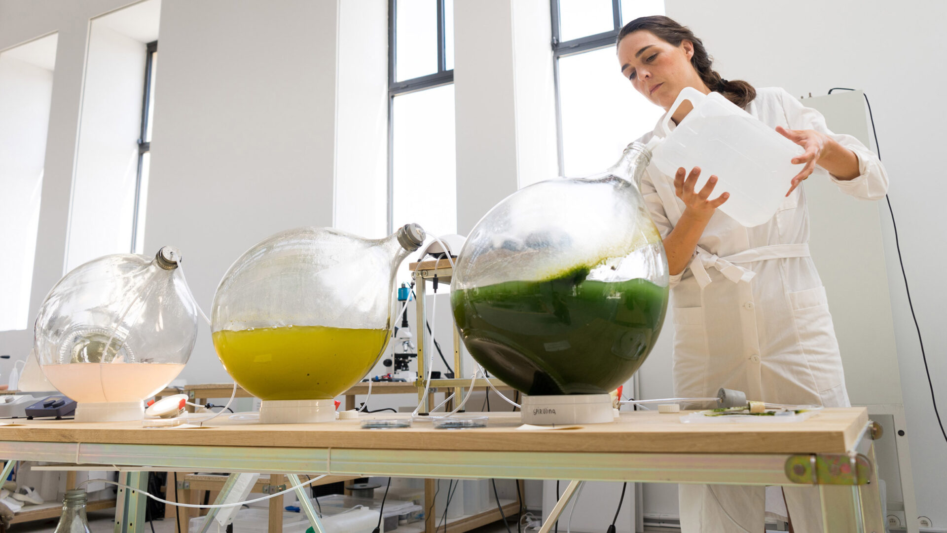 The Textile Industry’s Dirty Secret: How Algaeing is Revolutionizing ...