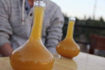 Make Tej, Ethiopian Honey Beer - Green Prophet