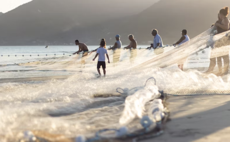 Overfishing in the Mediterranean Sea - Green Prophet