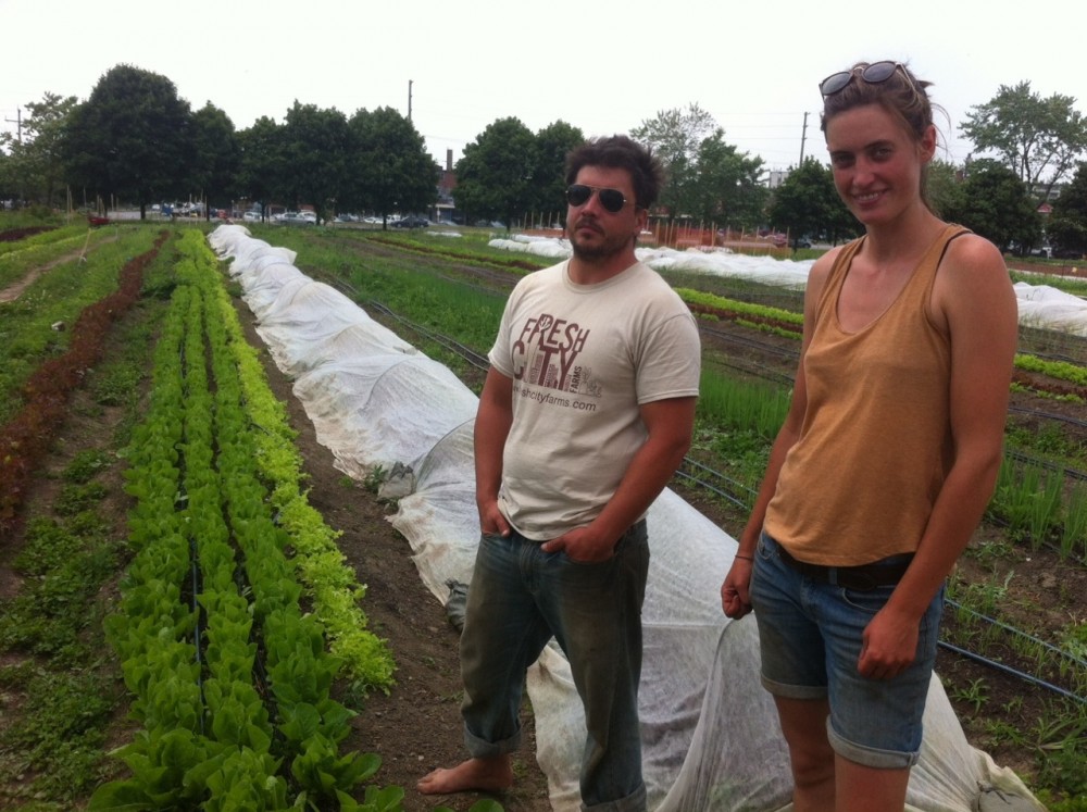 Water Farmers get fresh with aquaponics for food in Toronto - Green Prophet