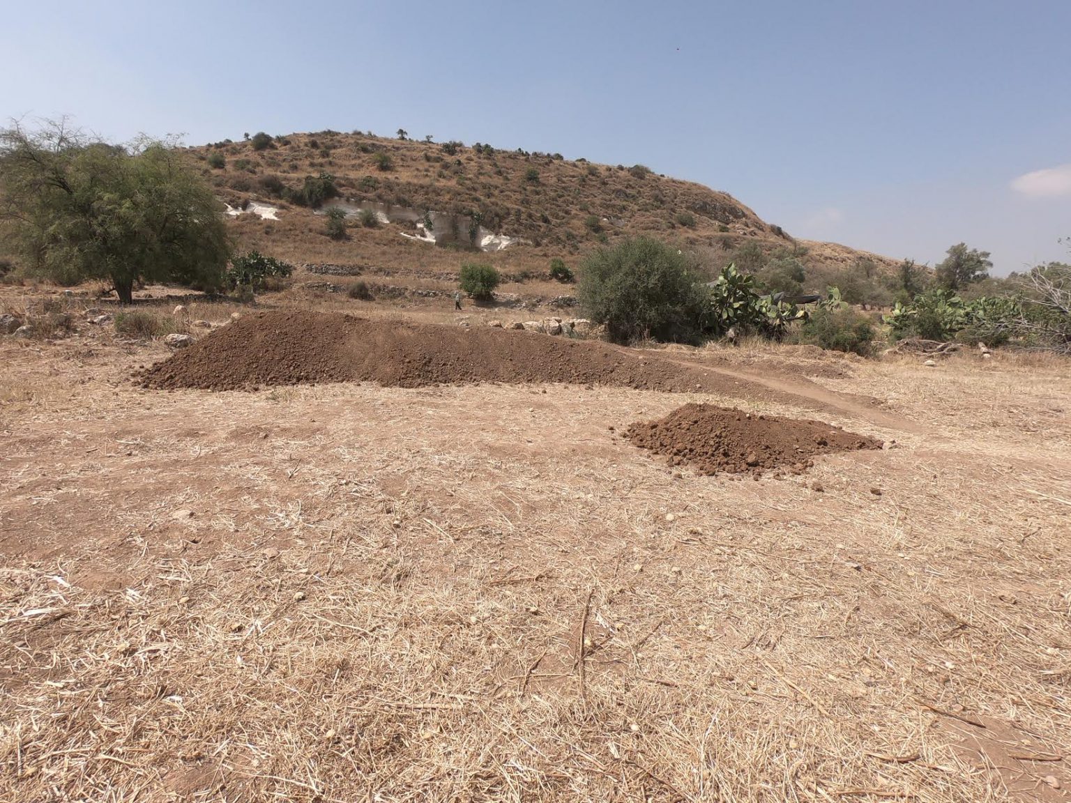 All about Gath, Goliath's hometown - Green Prophet