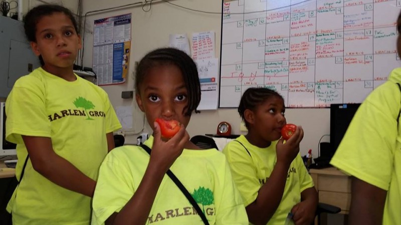 Harlem Grown grows greens and girls in New York City - Green Prophet