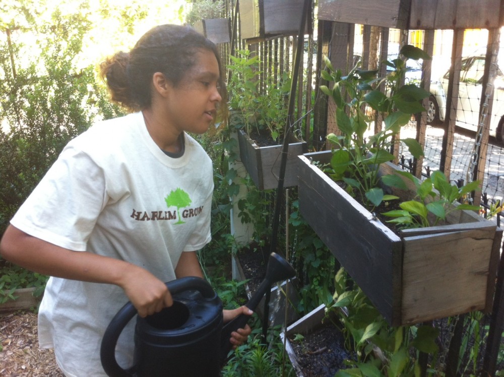 Harlem Grown grows greens and girls in New York City - Green Prophet