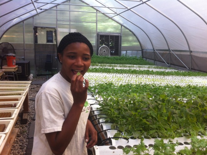 Harlem Grown grows greens and girls in New York City - Green Prophet