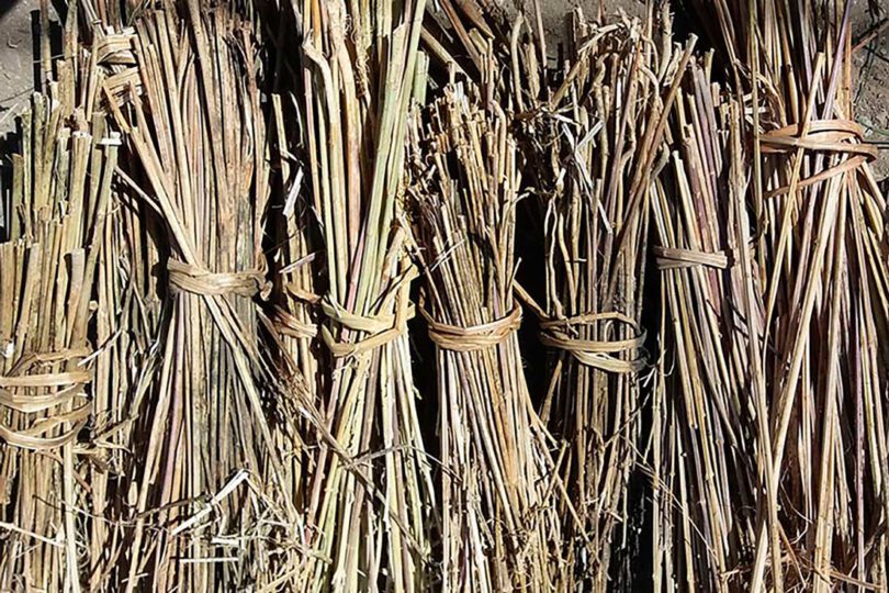 Hemp solar house highlights vernacular building potential in Morocco ...